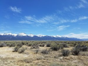 American Prairie - Grassland Groupies