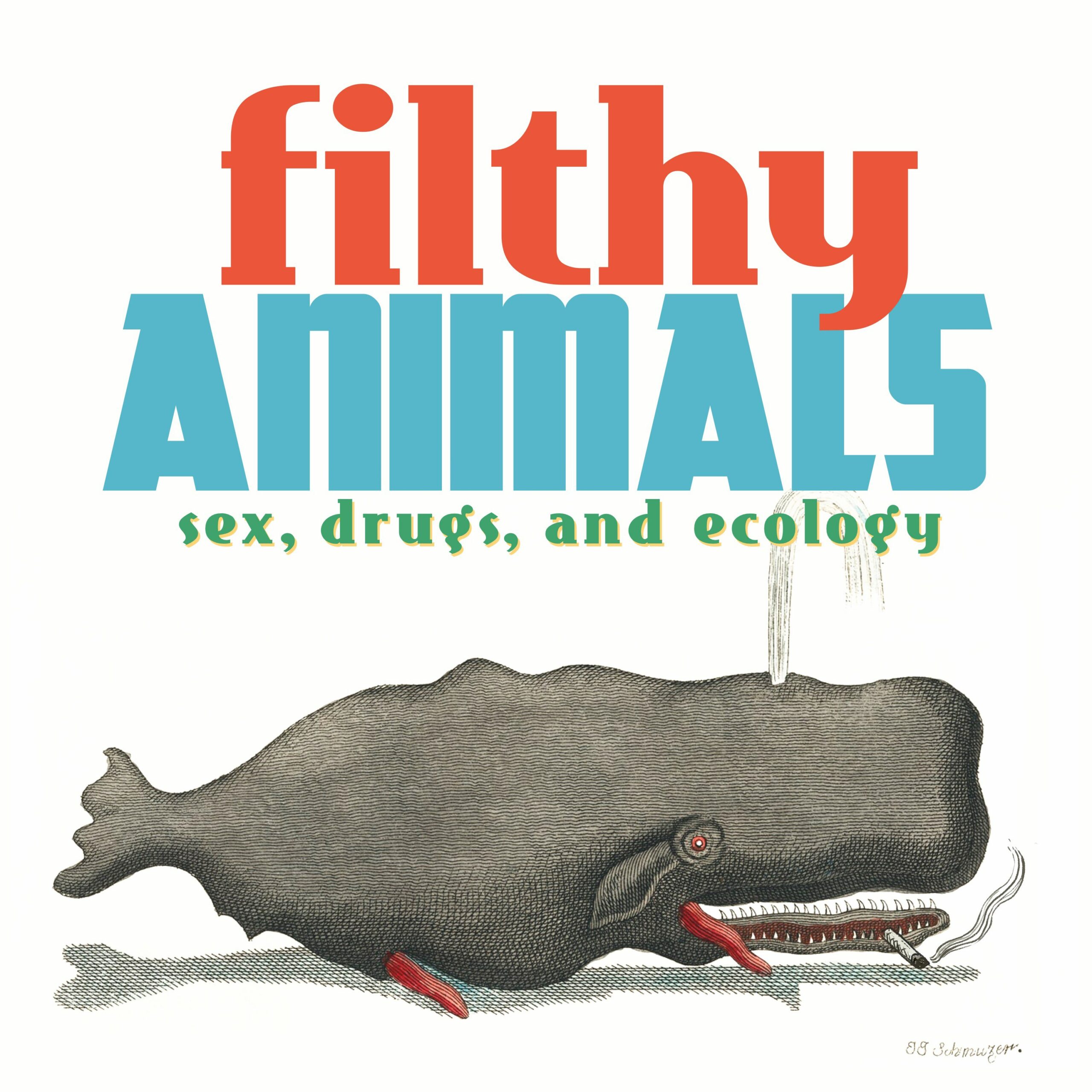 Filthy Animals - Grassland Groupies